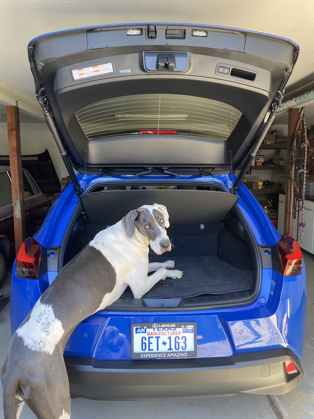 2021 Lexus UX 250h: The Smart Person's Prius · Motorhead Mama