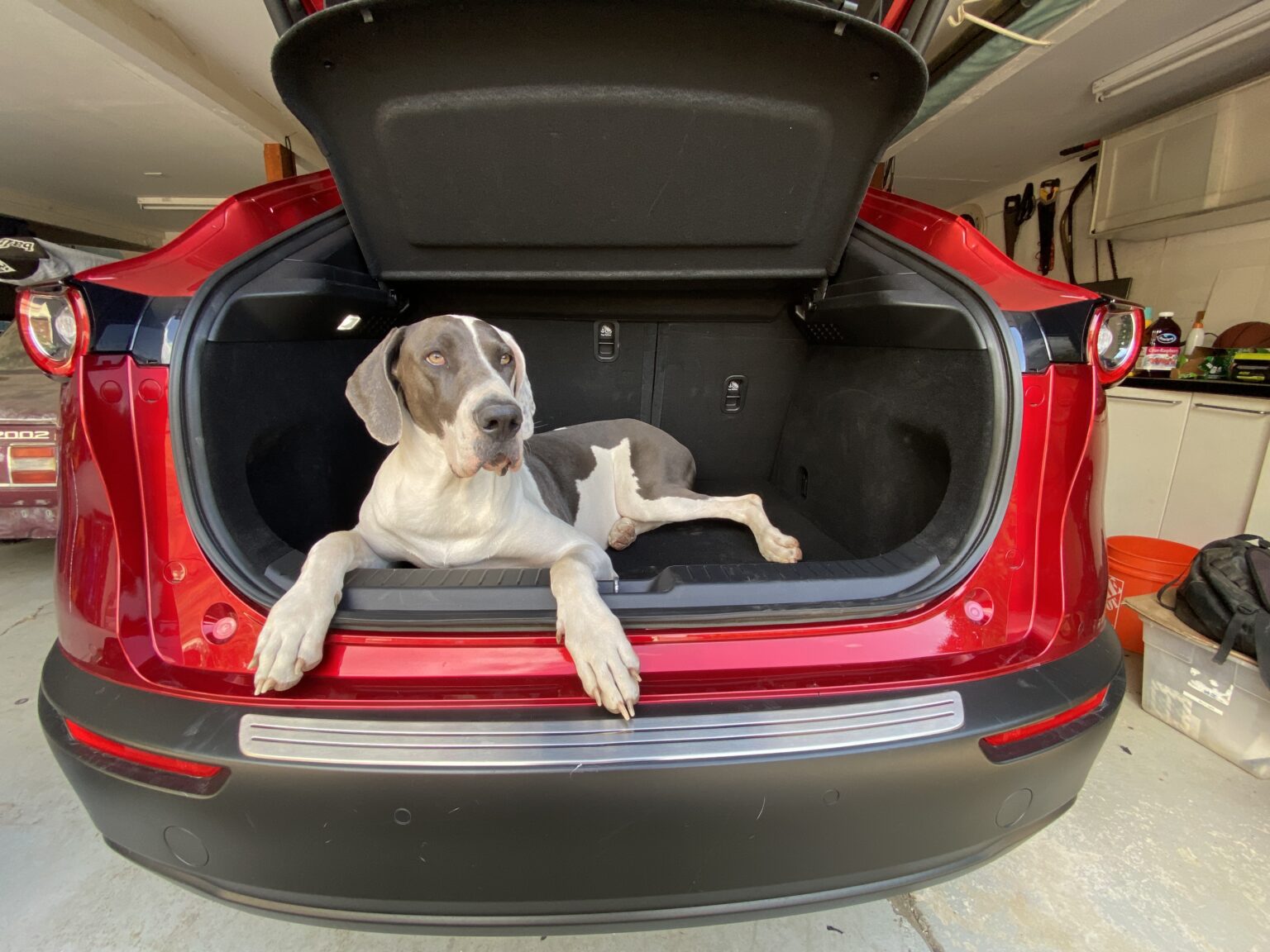 Mazda CX30 vs Mazda3: Which One Is Best For You? · Motorhead Mama