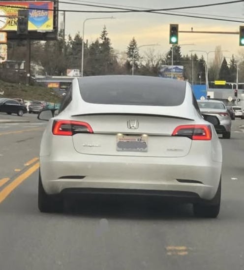 Tesla: From Status Symbol To SwastiCar · Motorhead Mama